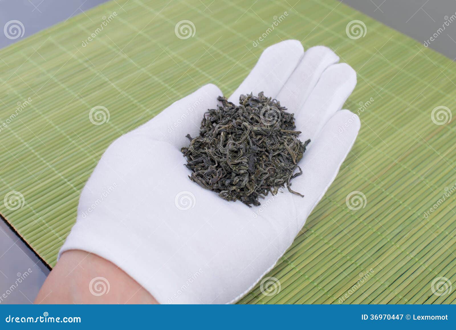 Green tea stock image. Image of medicine, care, fresh - 36970447
