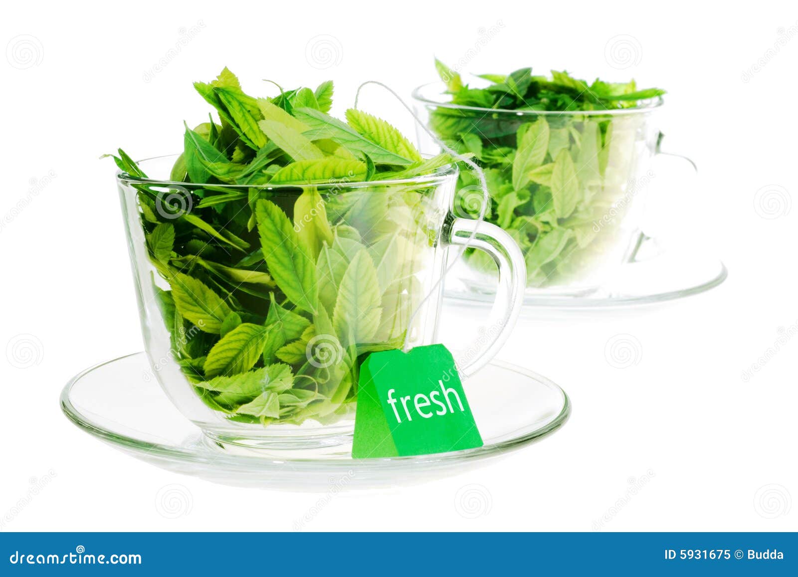 Green tea freshness stock image. Image of floral, sticker - 5931675