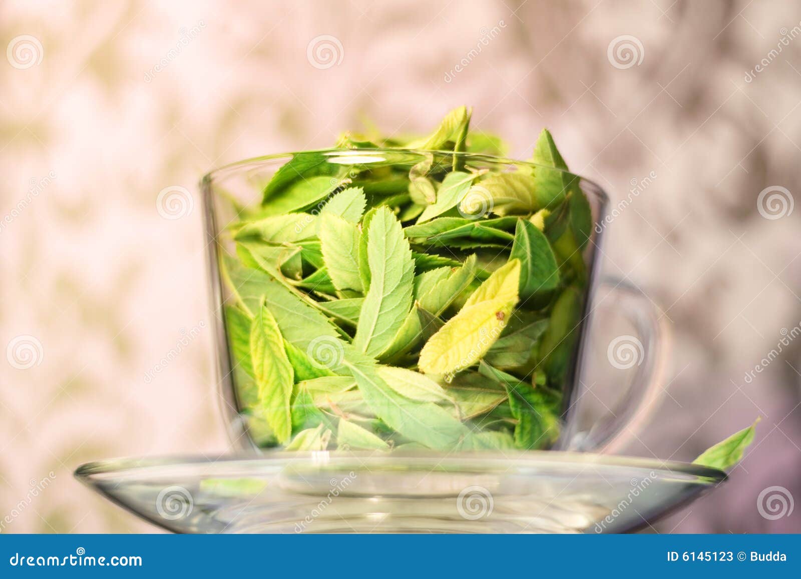 Green tea freshness stock image. Image of herb, herbal - 6145123