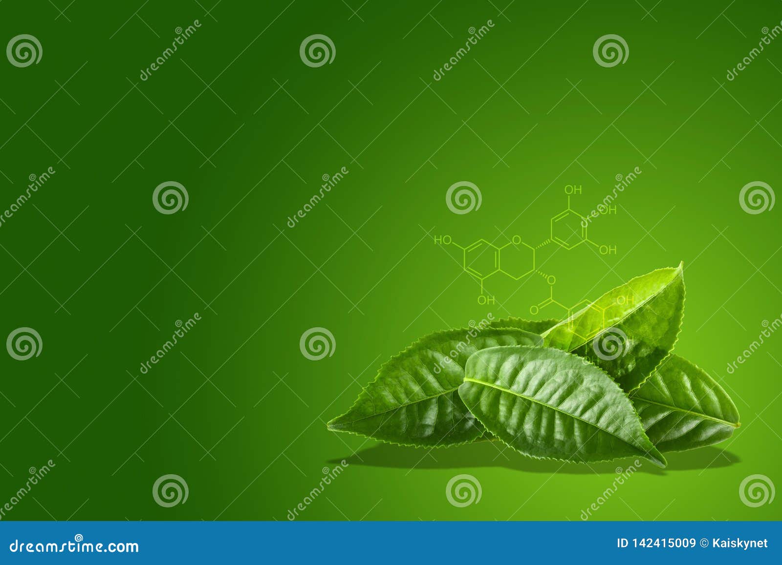 Green Tea Leaf with the Chemical Formula of EGCG Stock Image - Image of ...