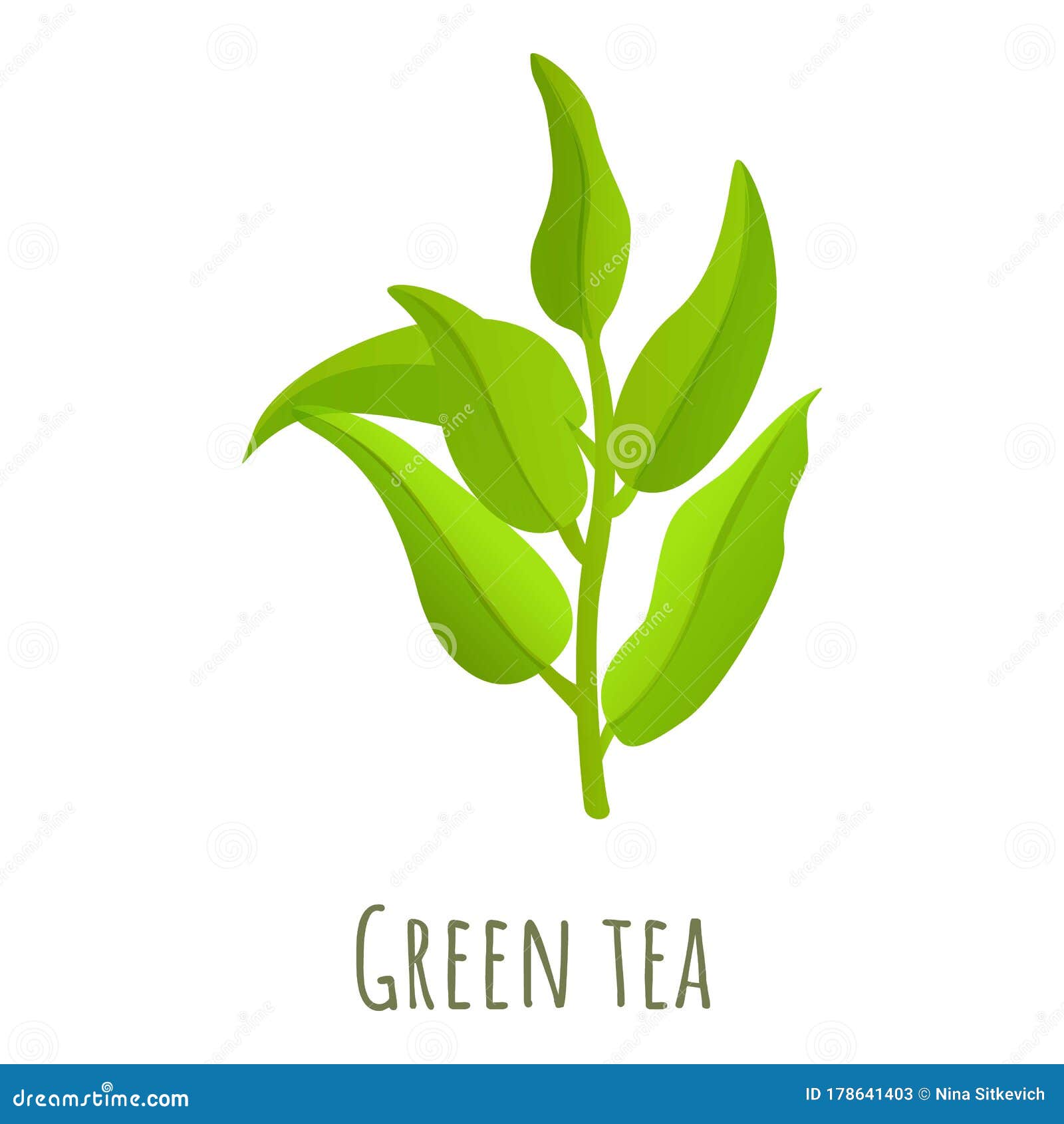 Green Tea Leaf Icon, Cartoon Style Stock Vector - Illustration of cured ...