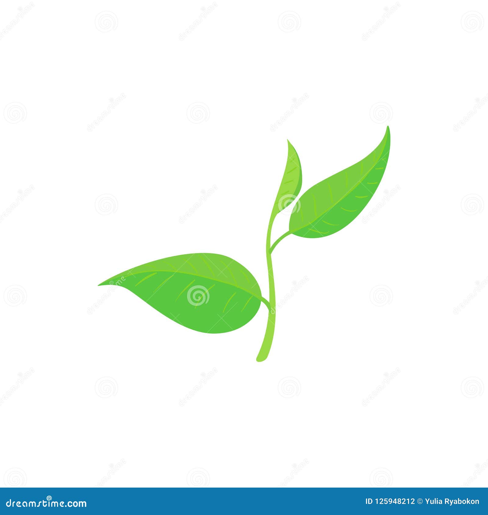 Green Tea Leaf Icon, Cartoon Style Stock Illustration - Illustration of ...
