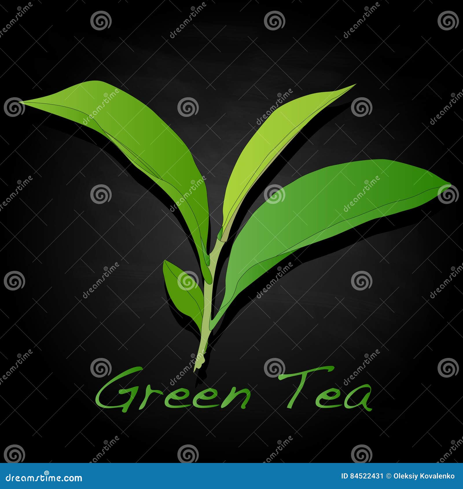 Green tea leaf vector stock vector. Illustration of isolated - 84522431