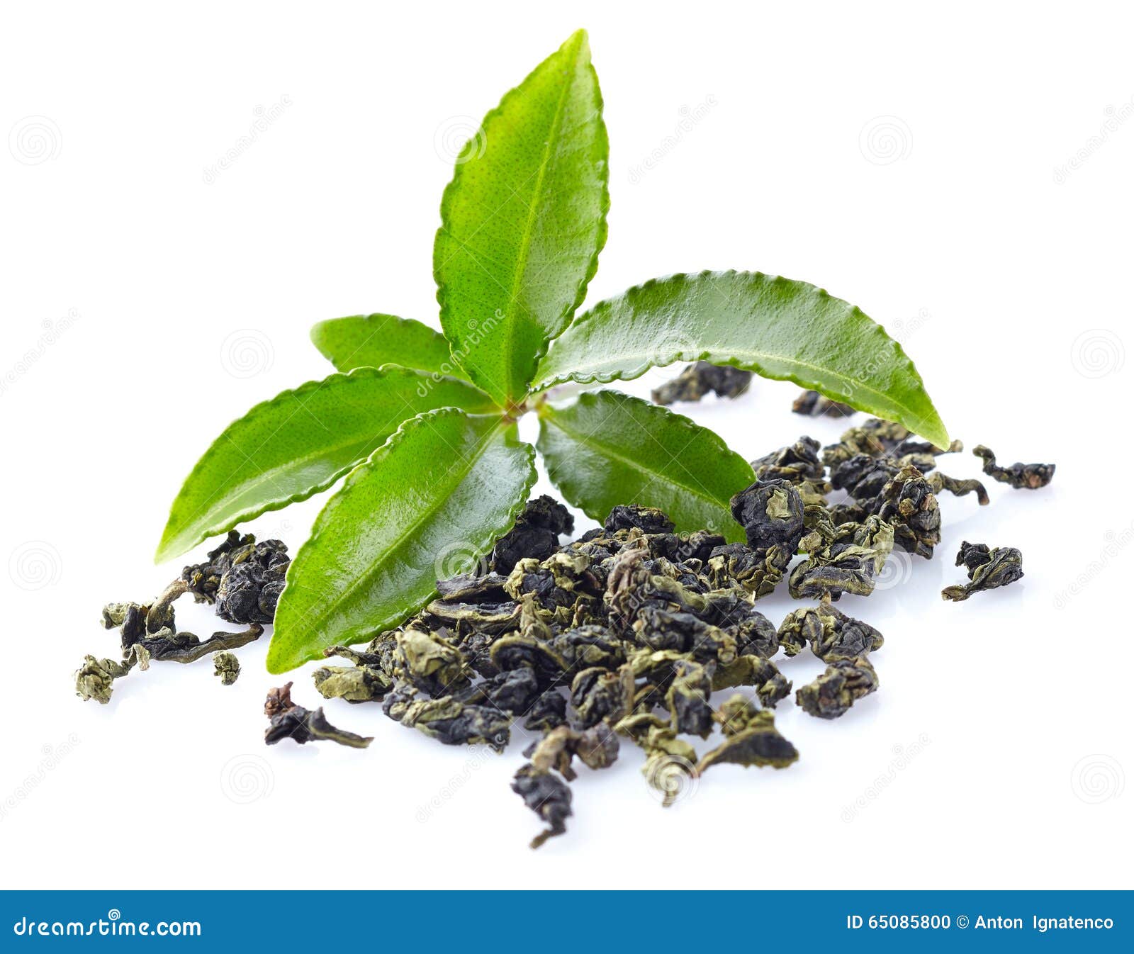 Green tea leaves stock photo. Image of freshness, china - 65085800