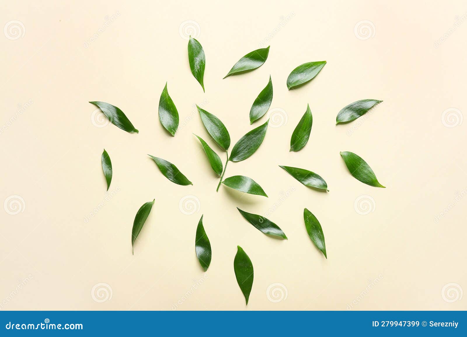 Green Tea Leaves on Color Background Stock Image - Image of herbal ...