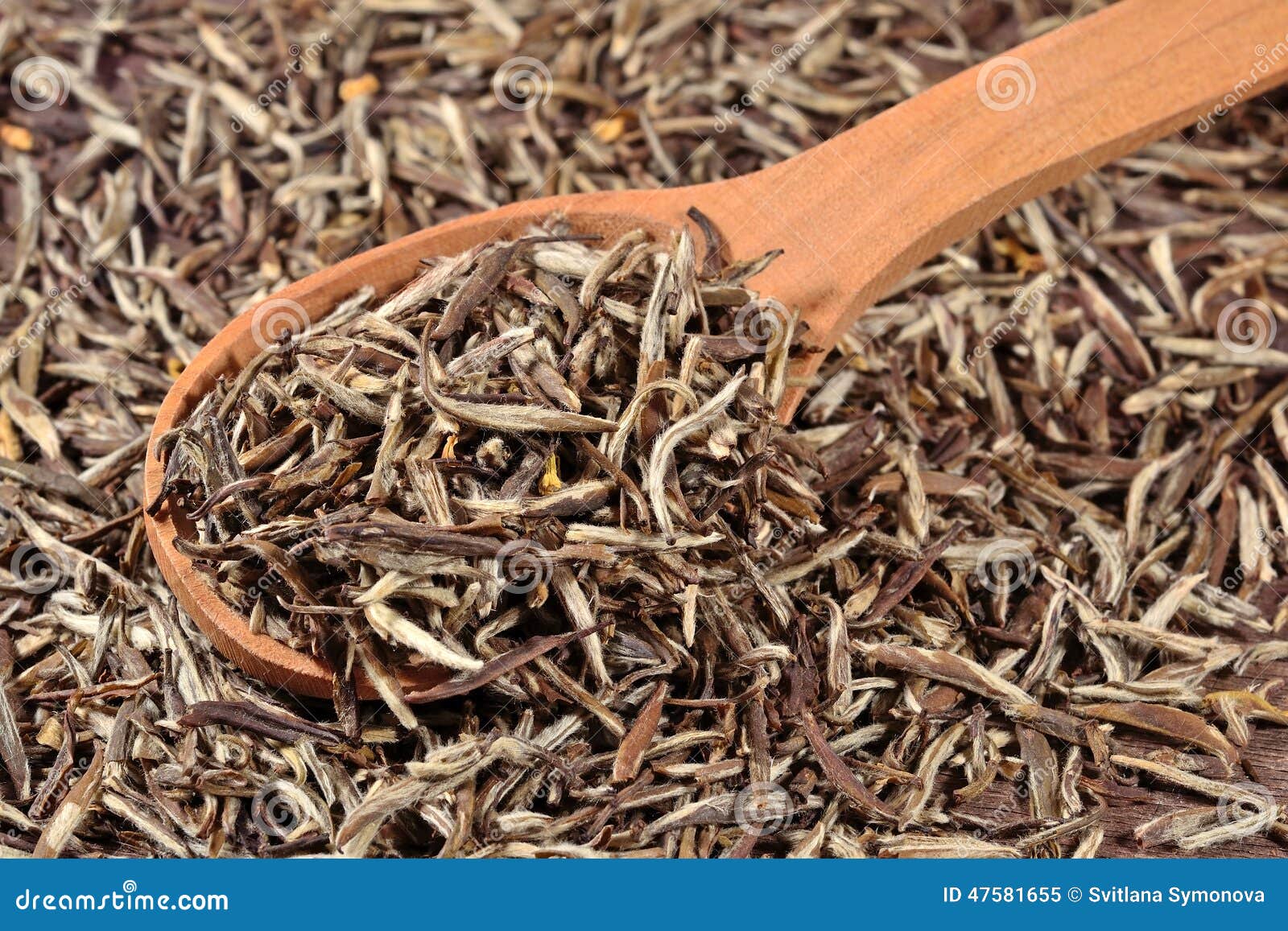 Green Tea Leaves in a Spoon Stock Image - Image of flavored ...