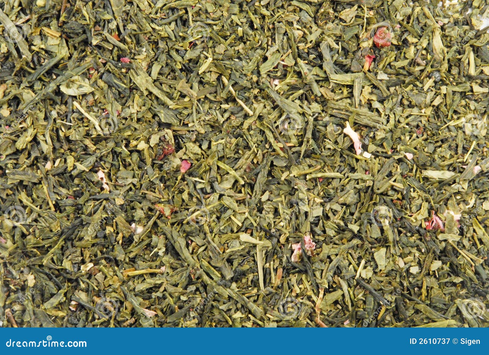 Green Tea Leaves Texture stock image. Image of green, inspiring - 2610737