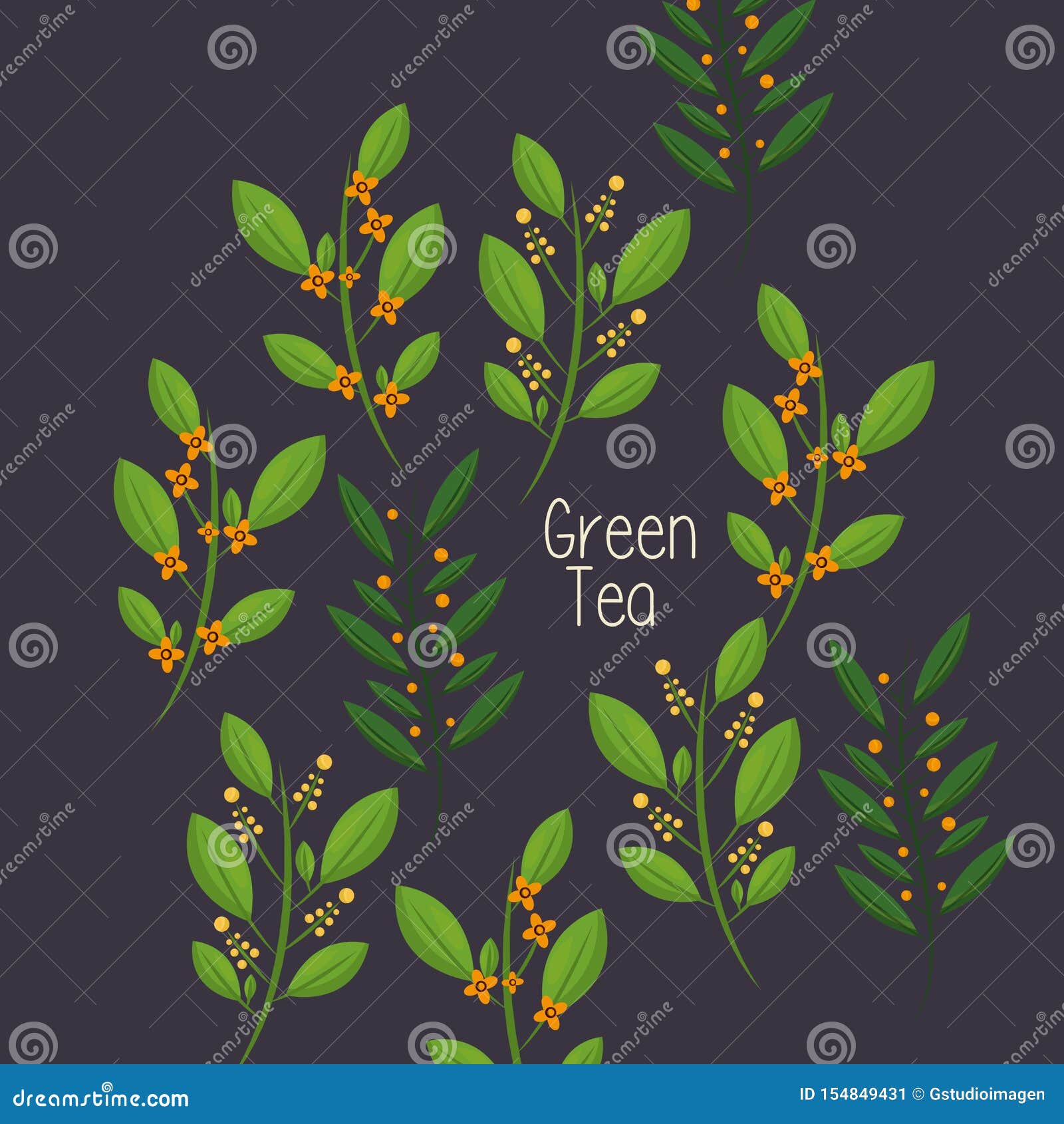 Green Tea Leaves Vector Design Stock Illustration - Illustration of ...