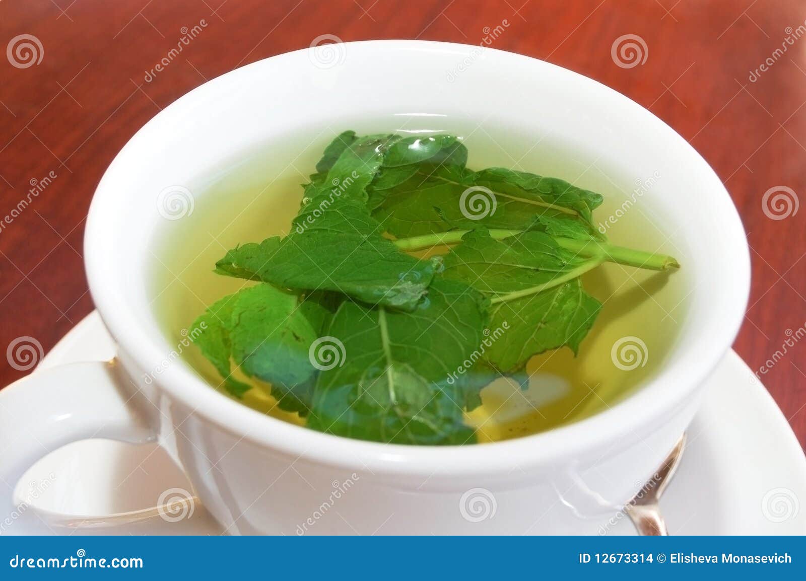 Green tea with mint stock photo. Image of breakfast, herbal - 12673314