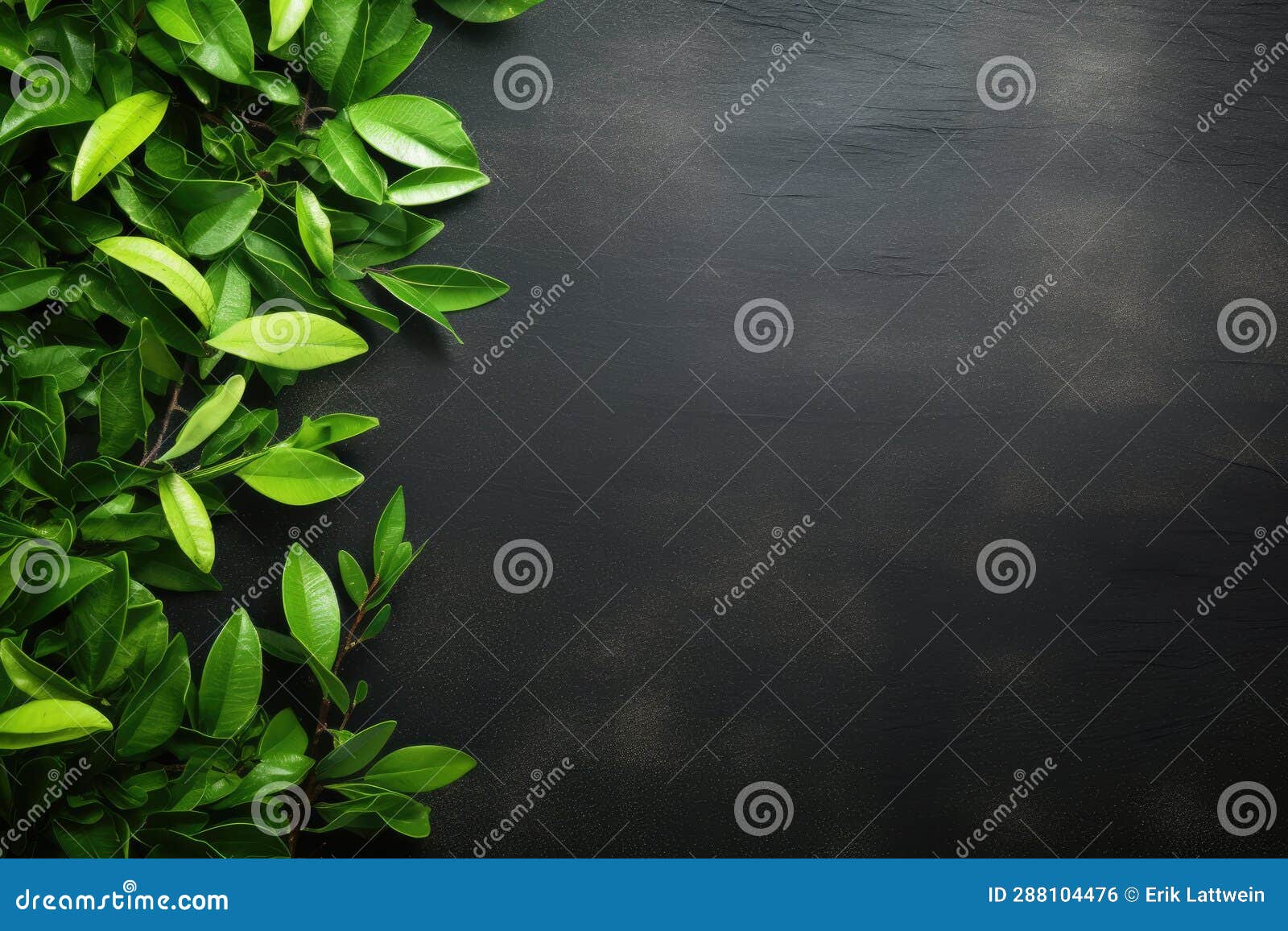 Green Tea Themed Background Large Copy Space - Stock Picture Backdrop ...