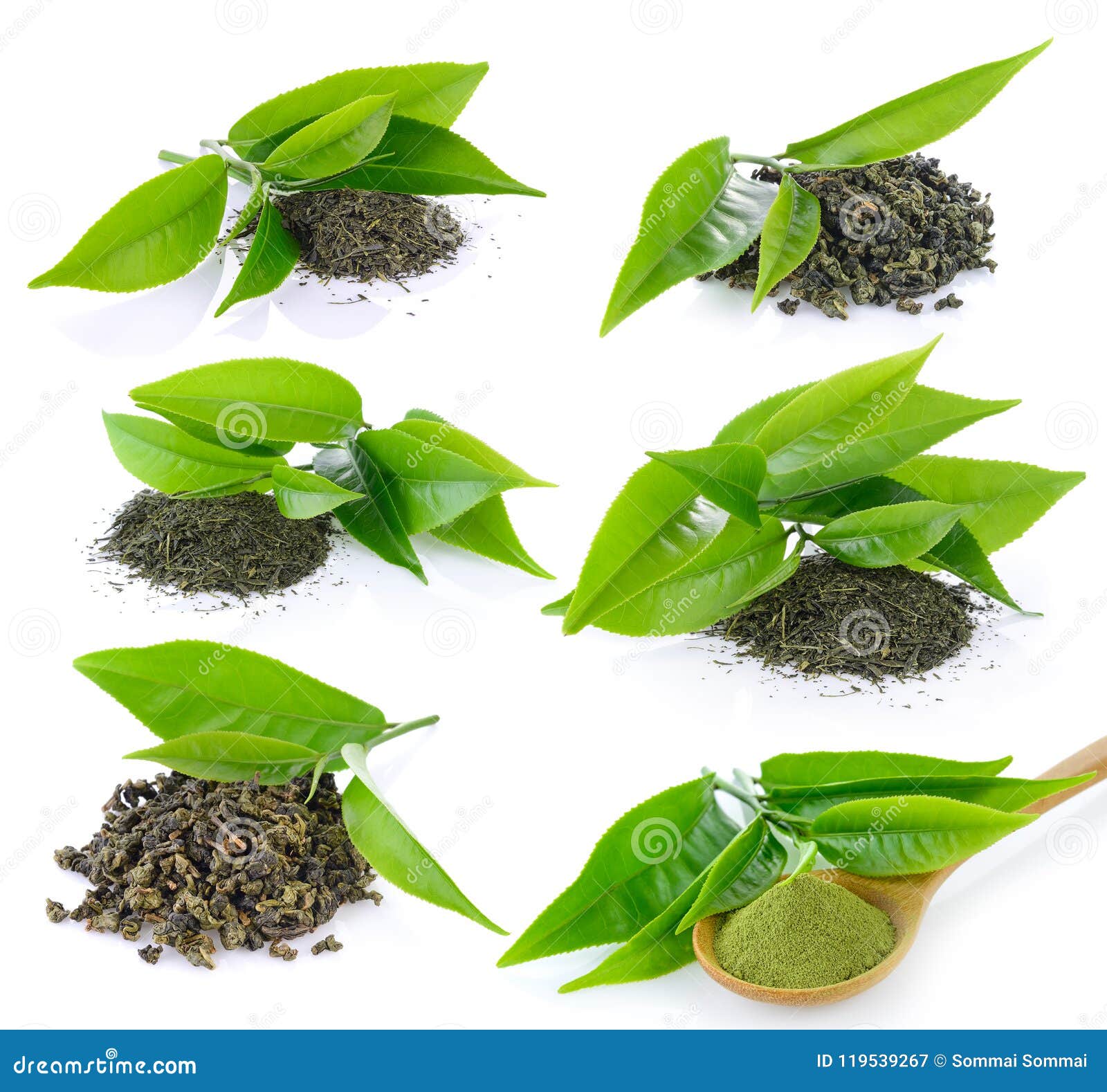 Fresh Green Tea on White Background Stock Image - Image of nature ...