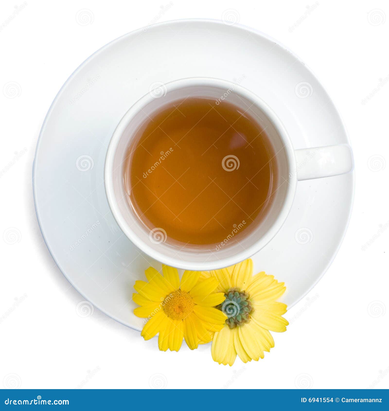 Green tea in a white cup stock photo. Image of assam, asian - 6941554
