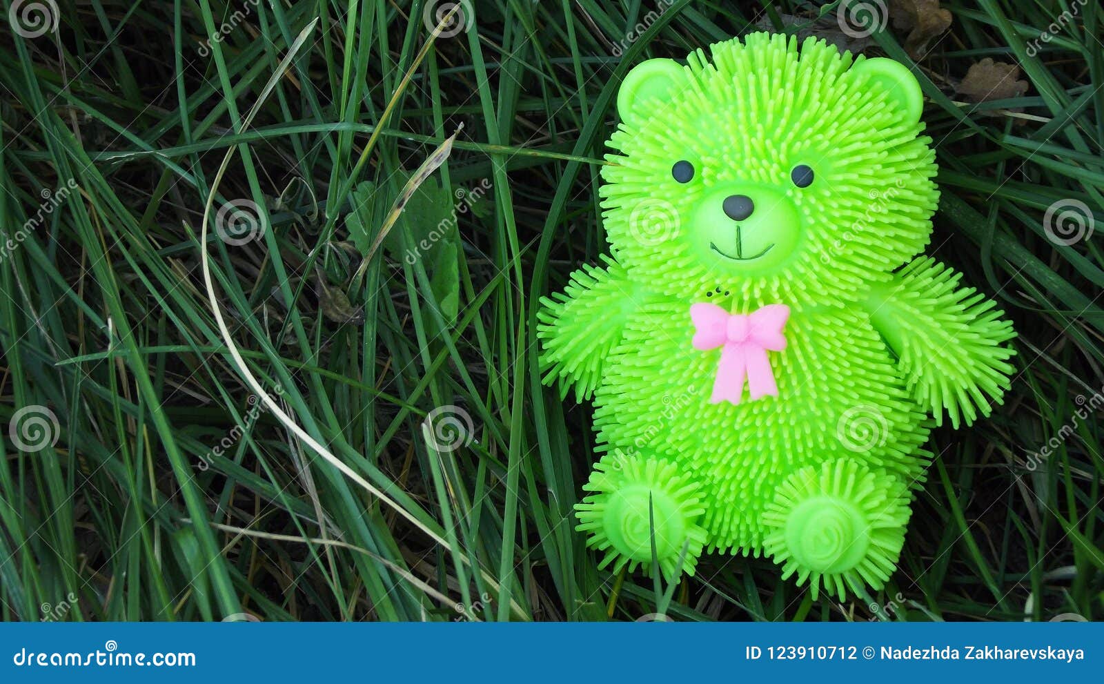Green Teddy bear. stock photo. Image of child, animal - 123910712