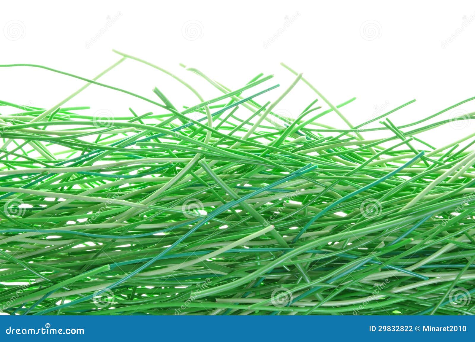 Green Telecommunication Cables Stock Photo - Image of closeup, computer ...