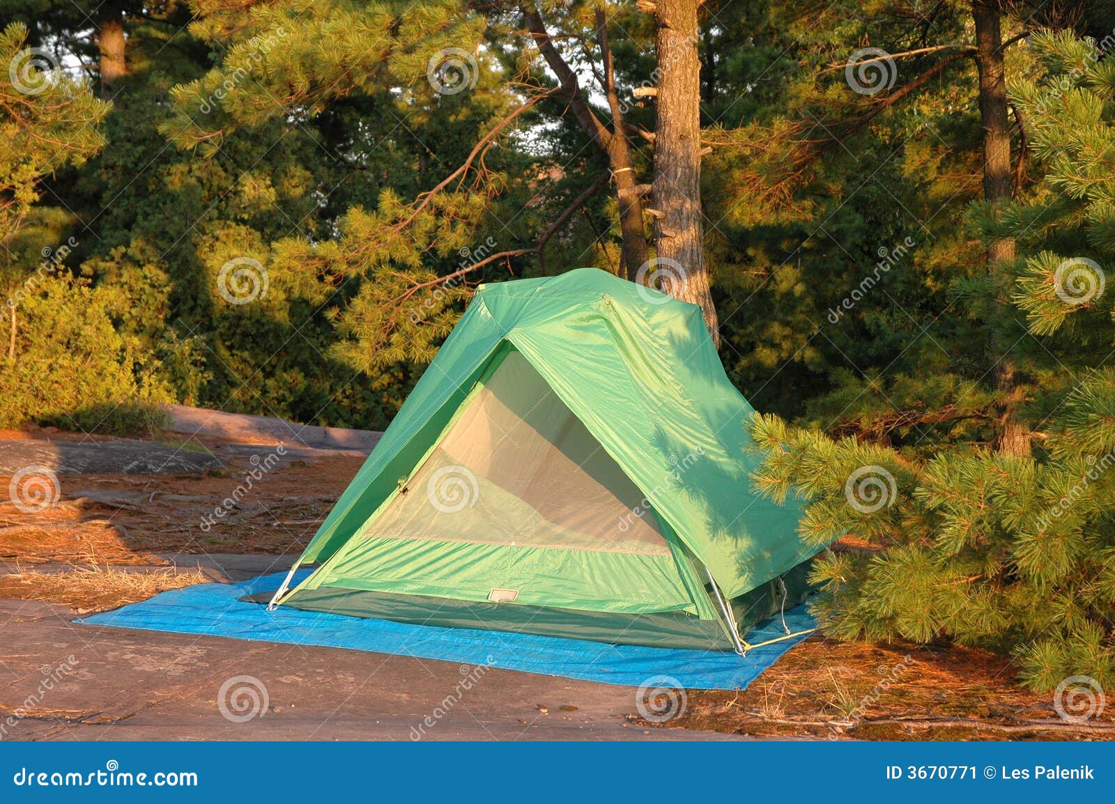 Green Tent stock image. Image of pine, tarp, canada, camping - 3670771