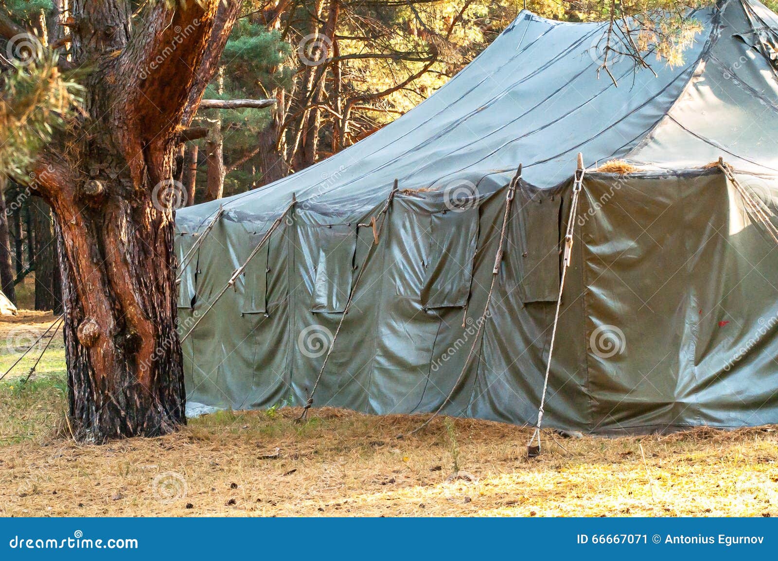 Green Tent, Camping, Camping, Woods Stock Image - Image of countryside ...