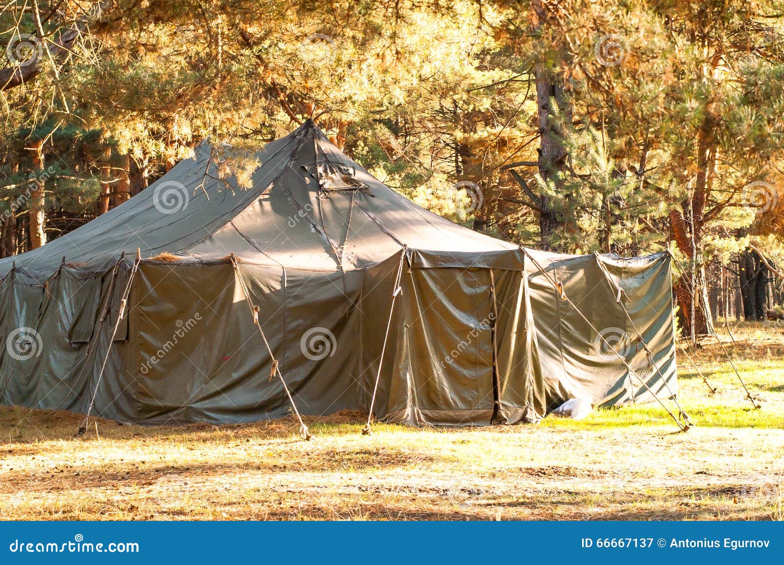 Green Tent, Camping, Camping, Woods Stock Image - Image of countryside ...