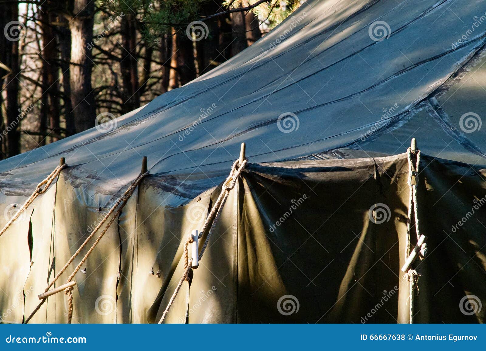 Green Tent, Camping, Camping, Woods Stock Photo - Image of canvas ...