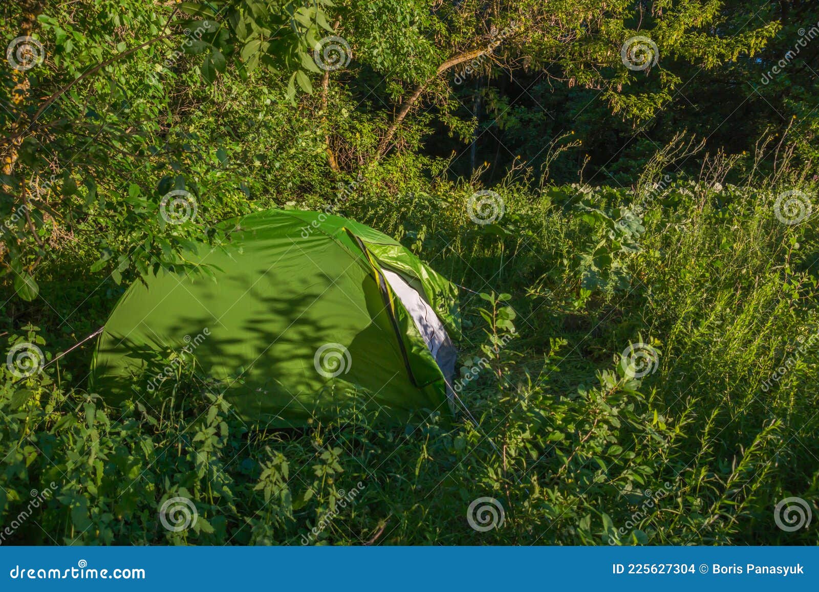 Green Tent among Tall Grass Stock Photo - Image of forest, rest: 225627304