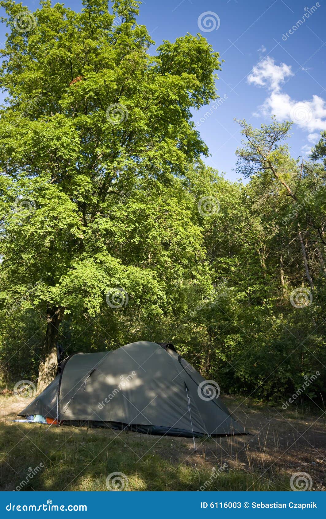 Green tent under tree stock image. Image of site, vacation - 6116003