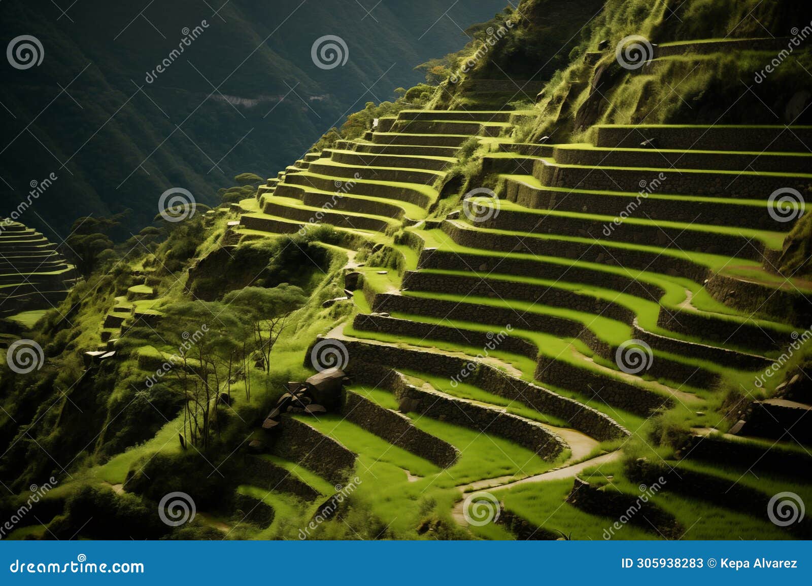 Green Terraces of the Incan Empire Under the Sun Stock Image - Image of ...