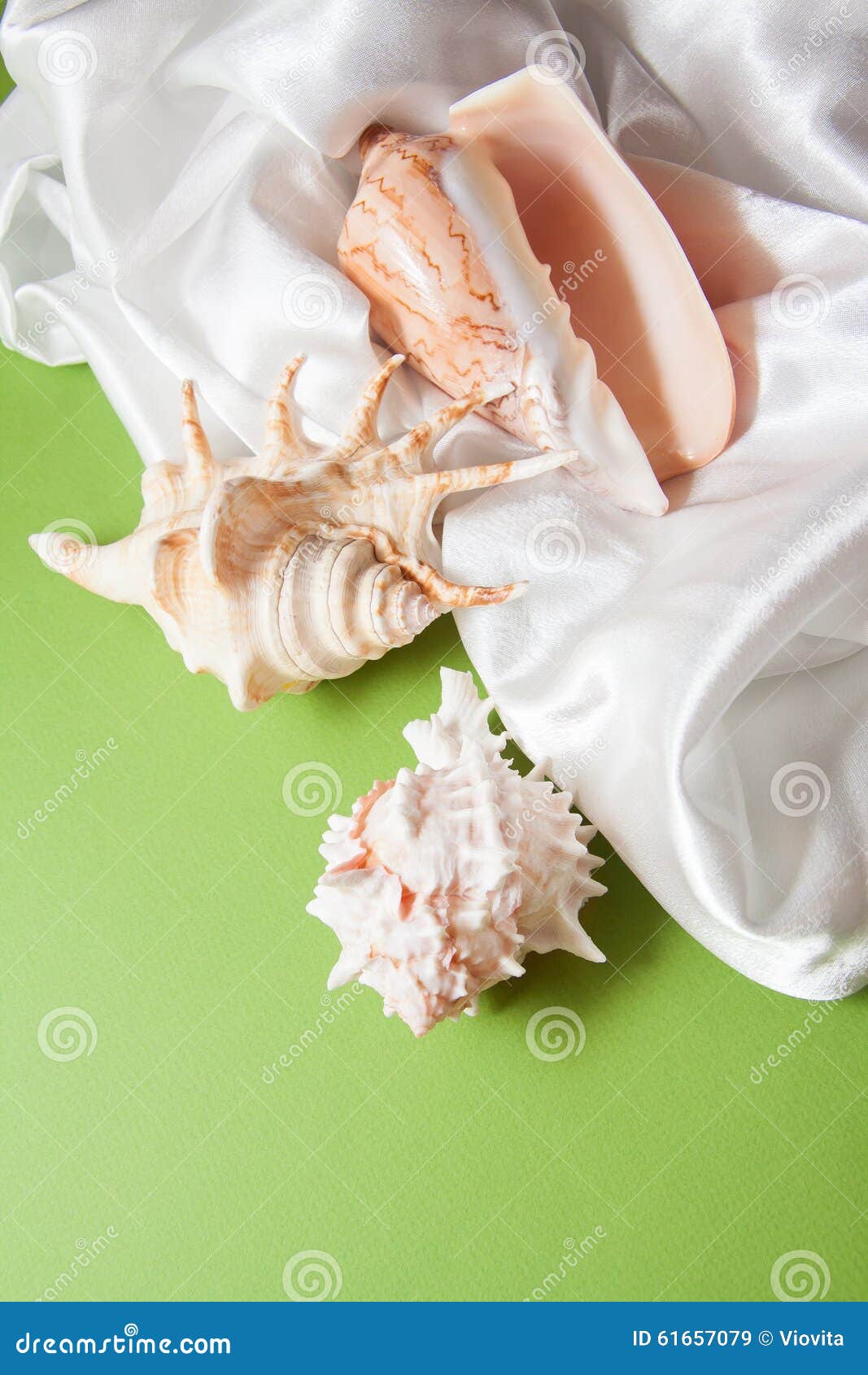 Green Textile with Shells Closeup Stock Image - Image of marine ...