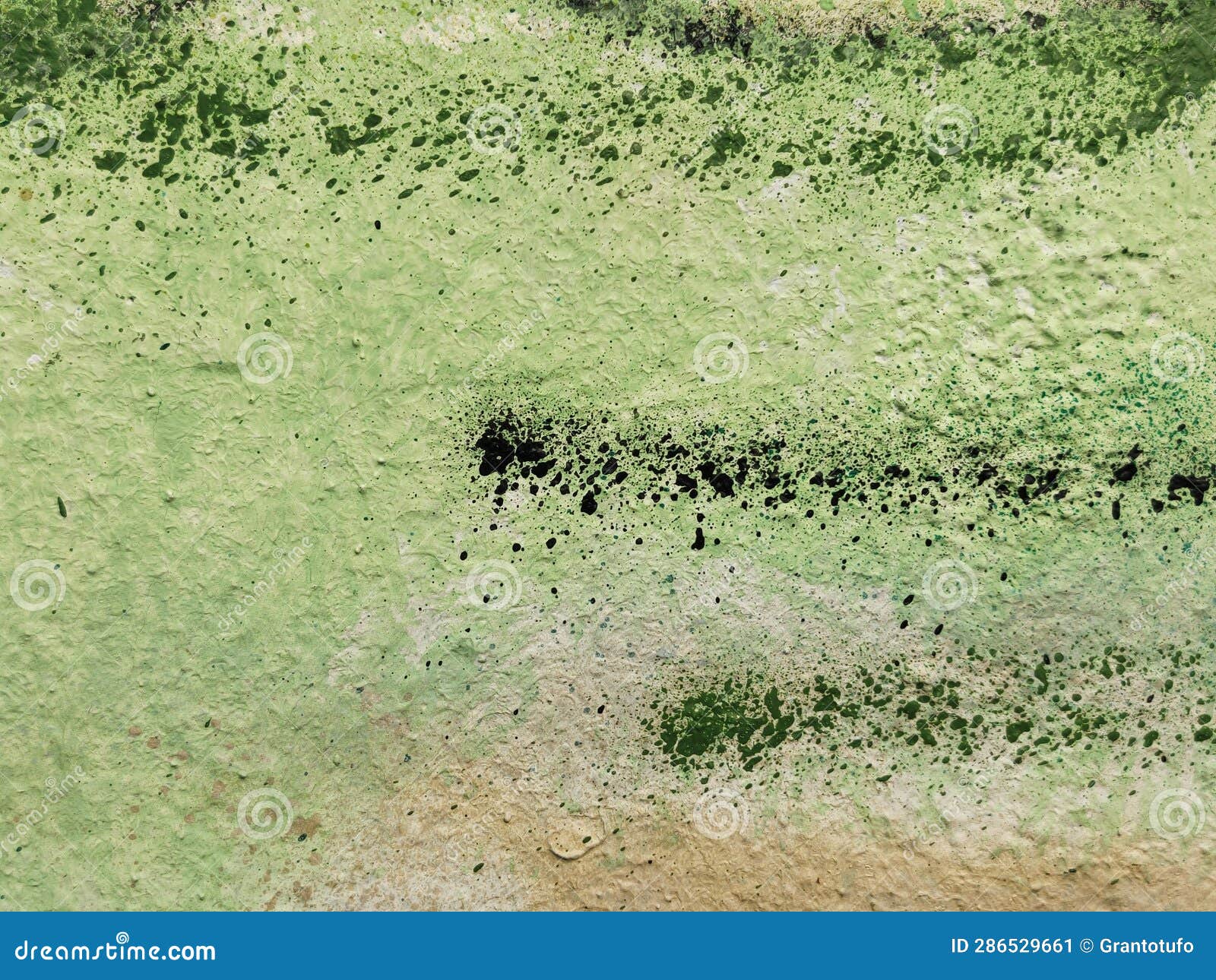 Green Texture Forming a Background Stock Image - Image of background ...