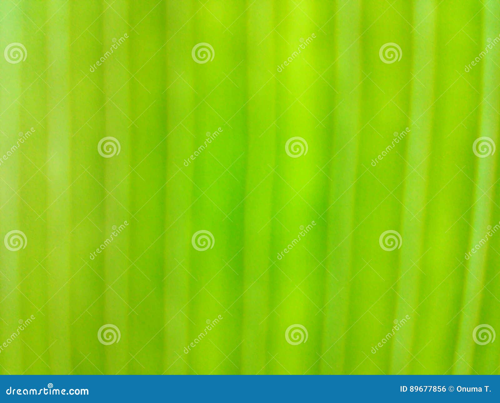 Line nature stock illustration. Illustration of zoom - 89677856