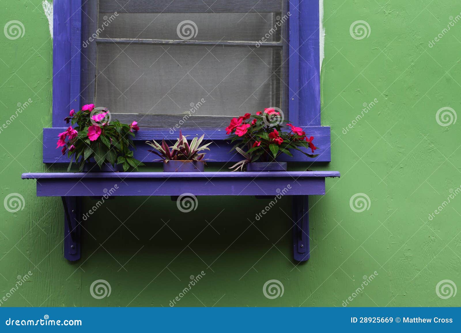 Green Textured Wall with Window and Flowers Stock Image - Image of ...