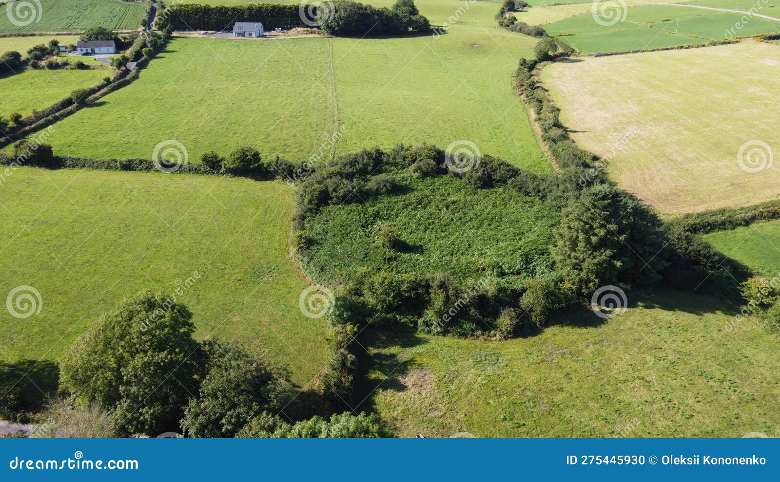 Green Thickets among Farm Fields in Ireland, Top View Stock Photo ...