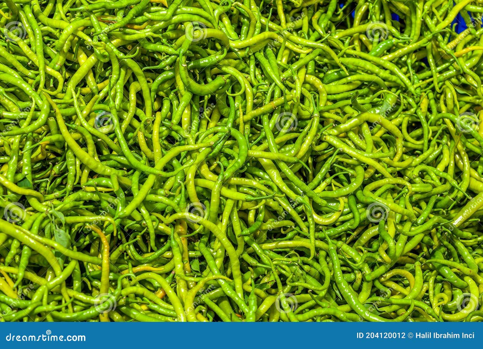 Green thin long peppers stock photo. Image of pile, market - 204120012