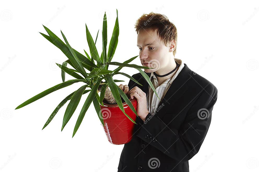 Green thoughts stock image. Image of plant, nature, formal - 1957399