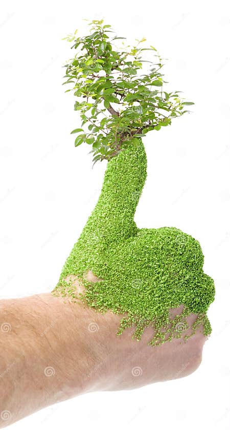Green thumb stock image. Image of thumb, hand, isolated - 7470065