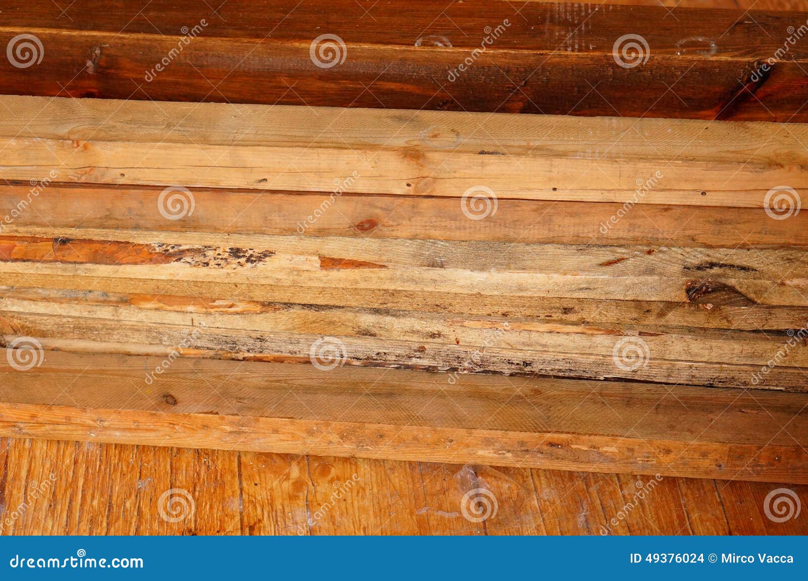 Green timber stock photo. Image of green, floor, material - 49376024