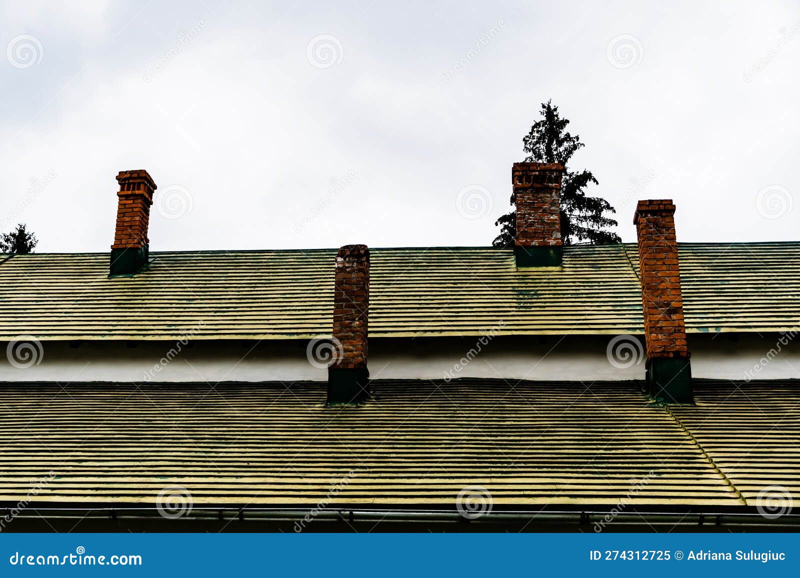 Green tin roof stock image. Image of blackboard, burn - 274312725