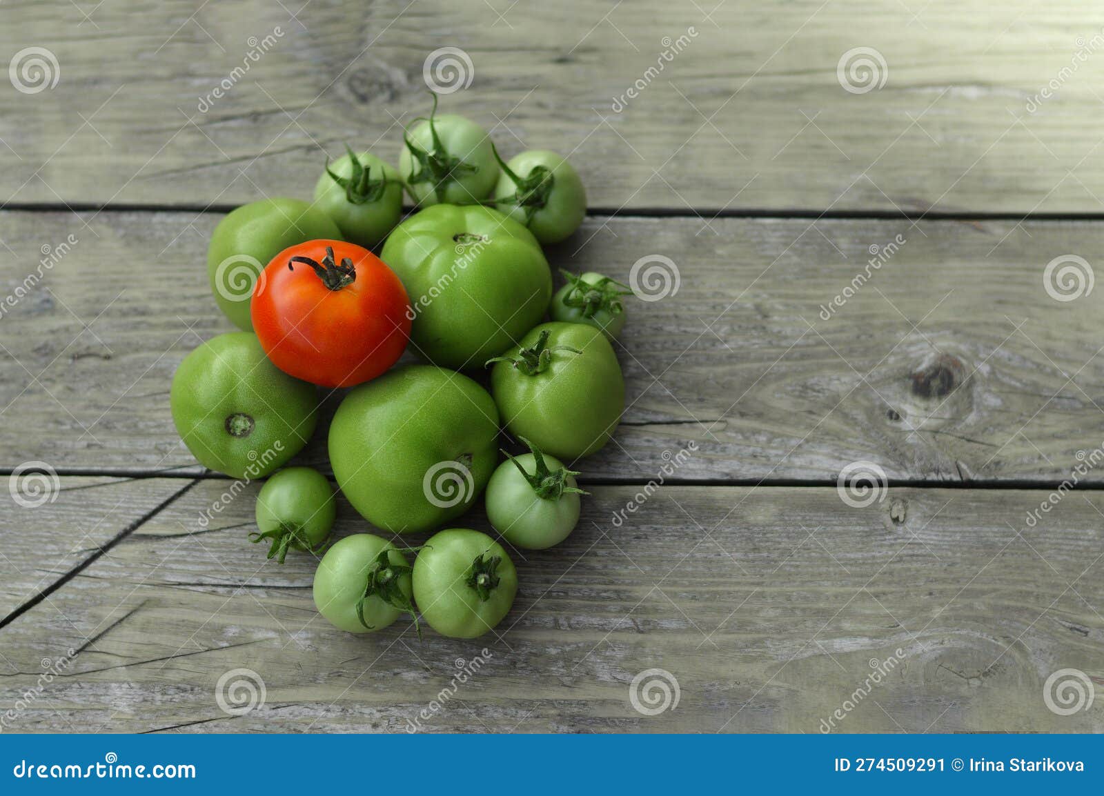 Green Tomato on Wooden Background. Raw Green Tomato on Table for Dinner ...