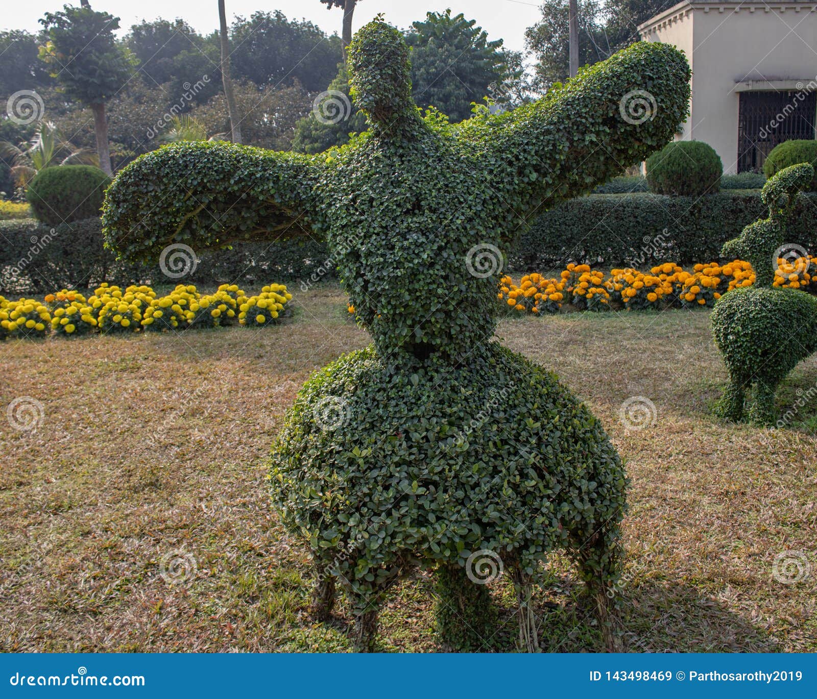 Green topiary of a bird stock image. Image of park, ornamental - 143498469