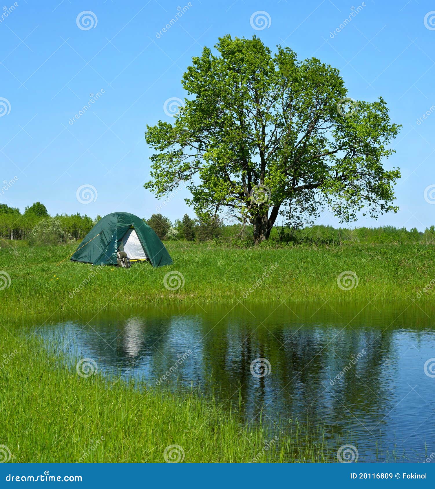 Green Tourism in the Summer Stock Image - Image of reflection, sport ...