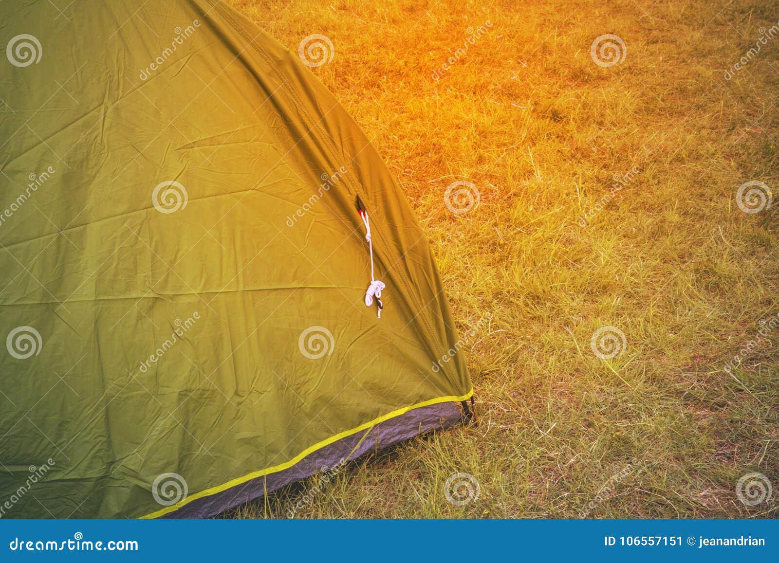 Green Touristic Tent among Grass , on Grassland, Forest Camp Stock ...