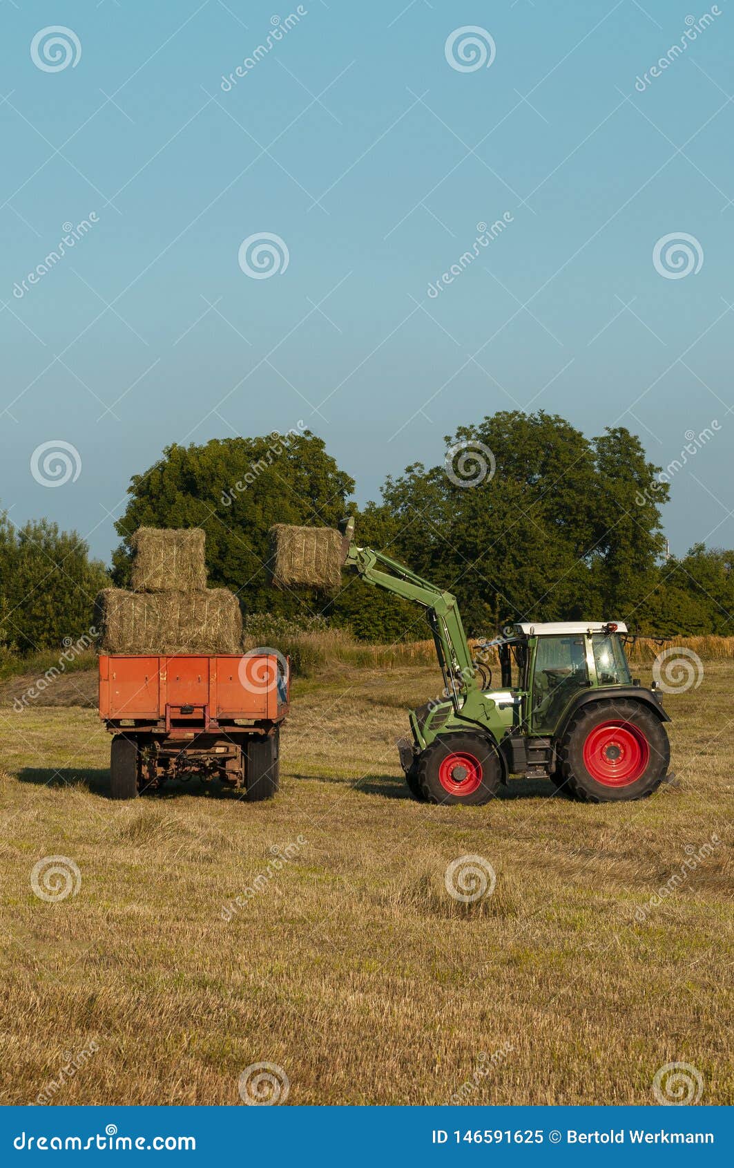 Tractor Loading Hay Bales on a Trailer Stock Image - Image of machinery ...