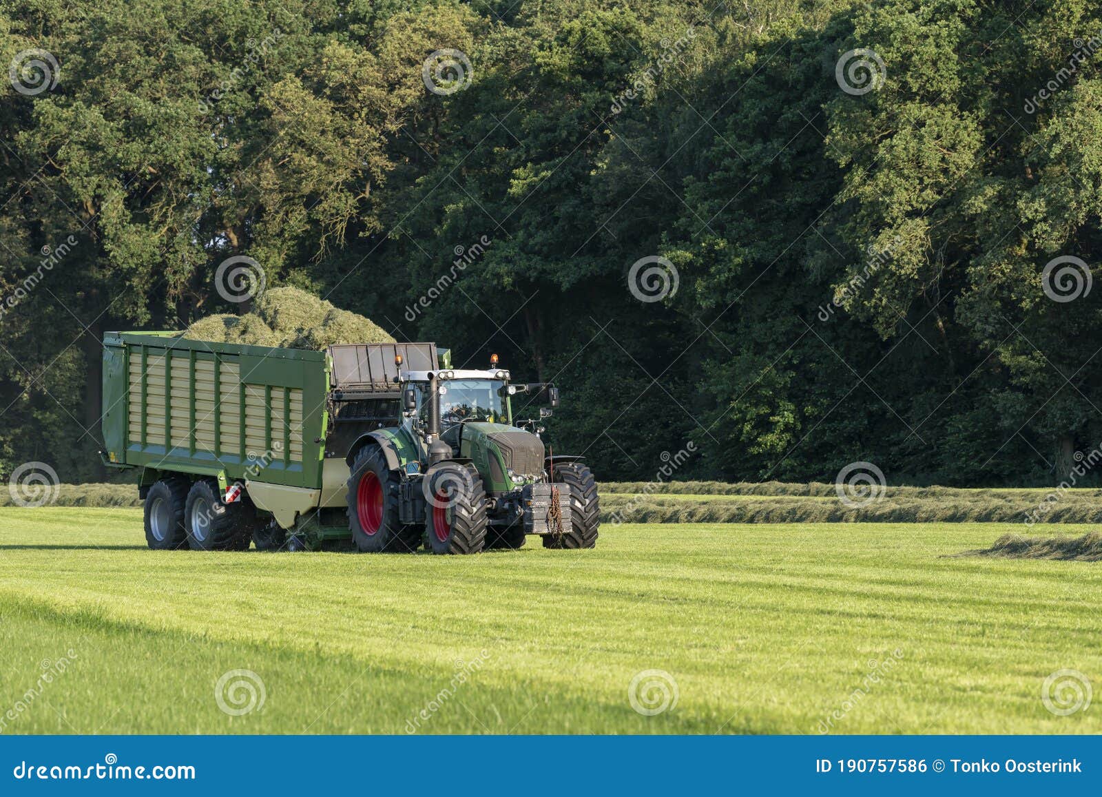 Green Tractor Picking Up Cut Grass Stock Photo - Image of feed ...