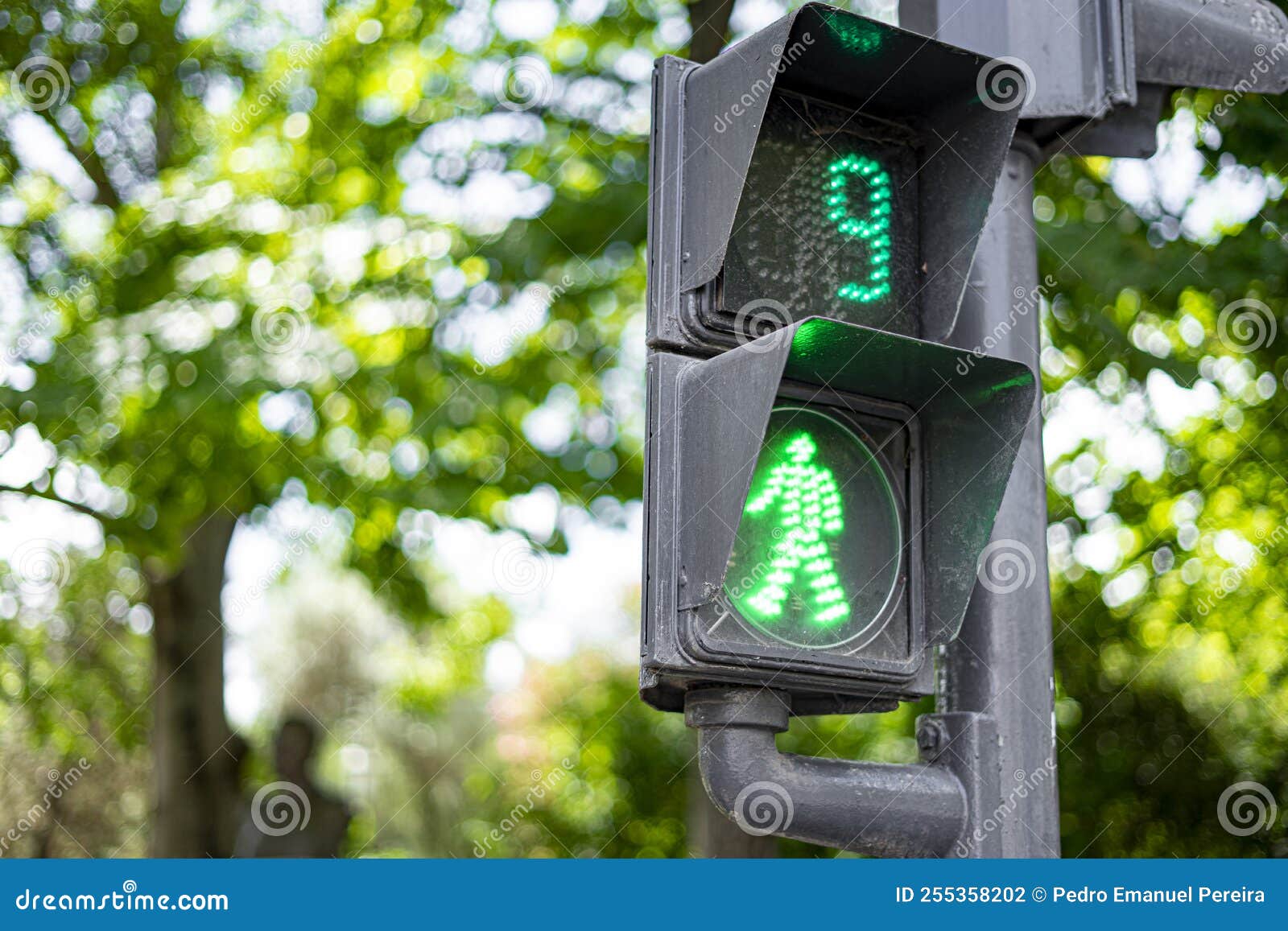 Green Traffic Light To Control Pedestrian Crossing with a Countdown To ...