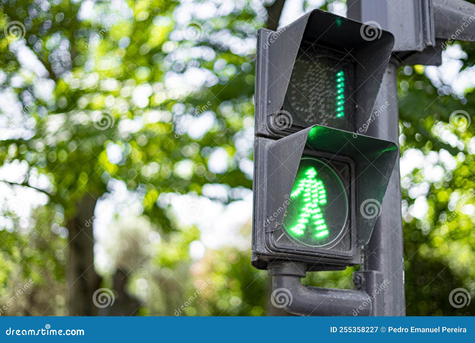 Green Traffic Light To Control Pedestrian Crossing with a Countdown To ...