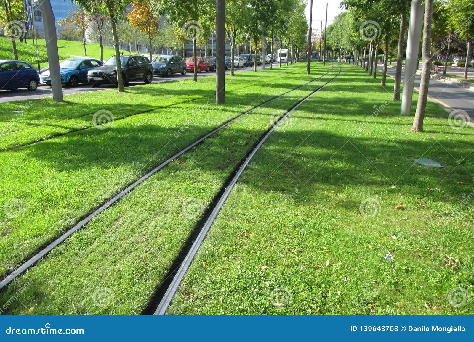 Green tram editorial stock photo. Image of green, trees - 139643708