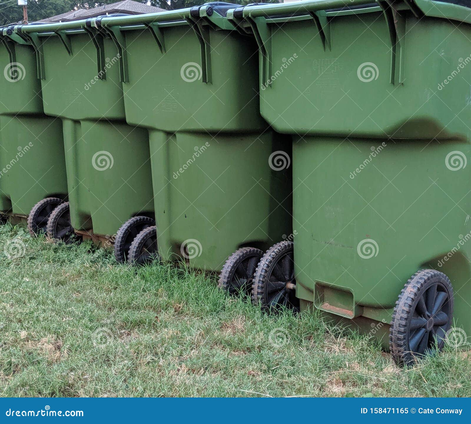 Green Trash Bins, Recycling Trash Cans on Grass Stock Image - Image of ...