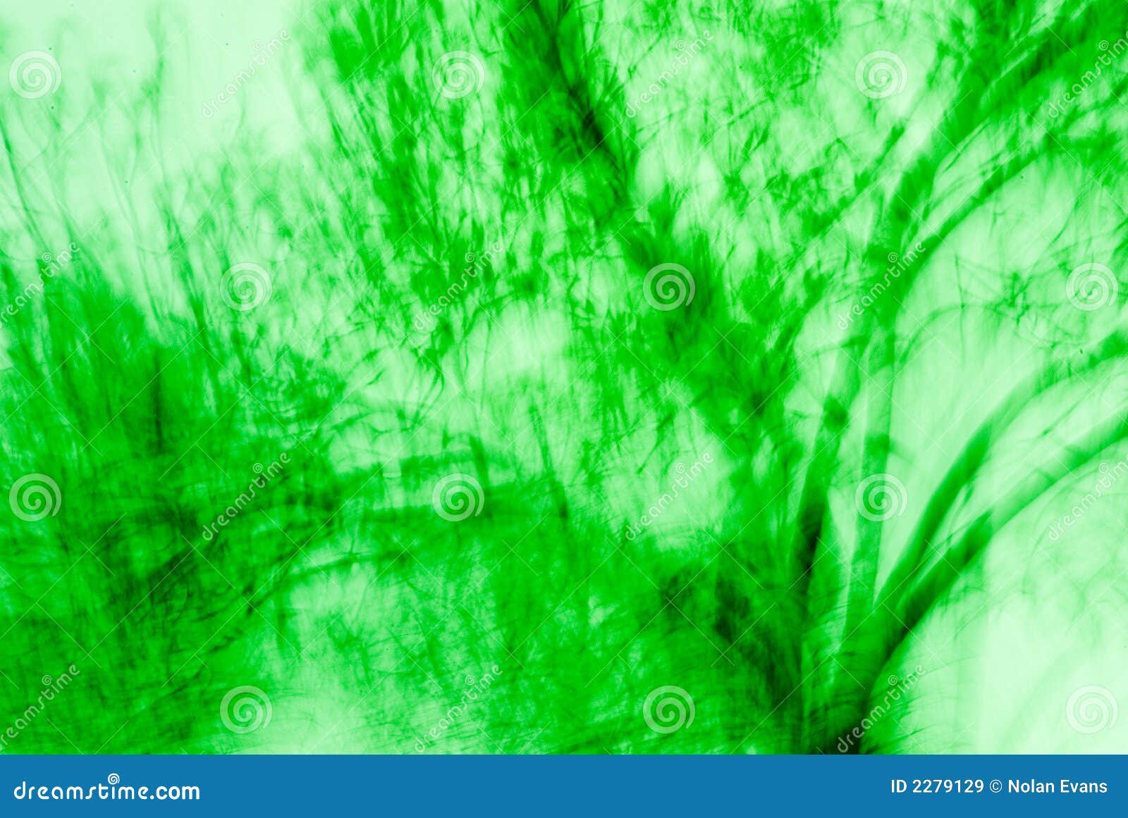 Green Tree Abstract stock image. Image of grow, digital - 2279129