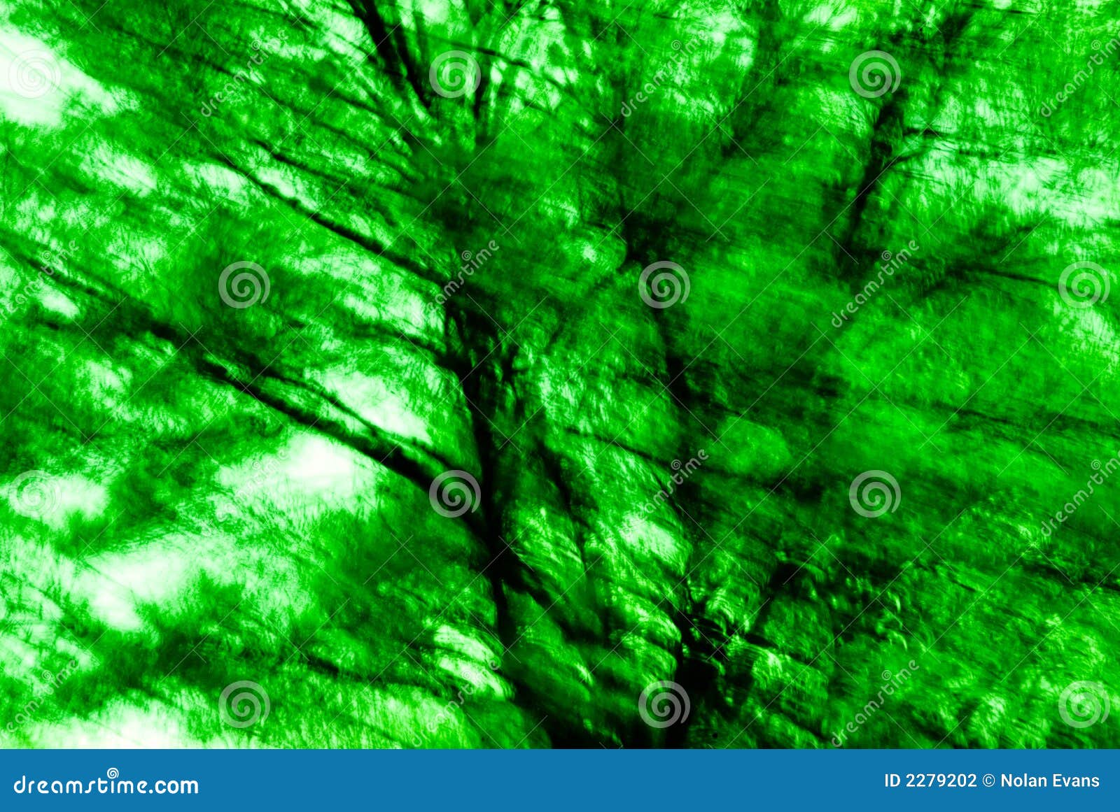 Green Tree Abstract #3 stock photo. Image of blended, green - 2279202