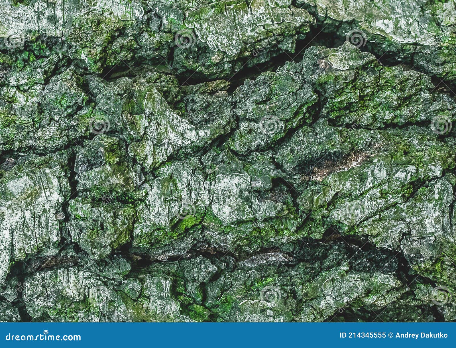 Green Tree Bark, Embossed Texture Pattern, Abstract Background Stock ...