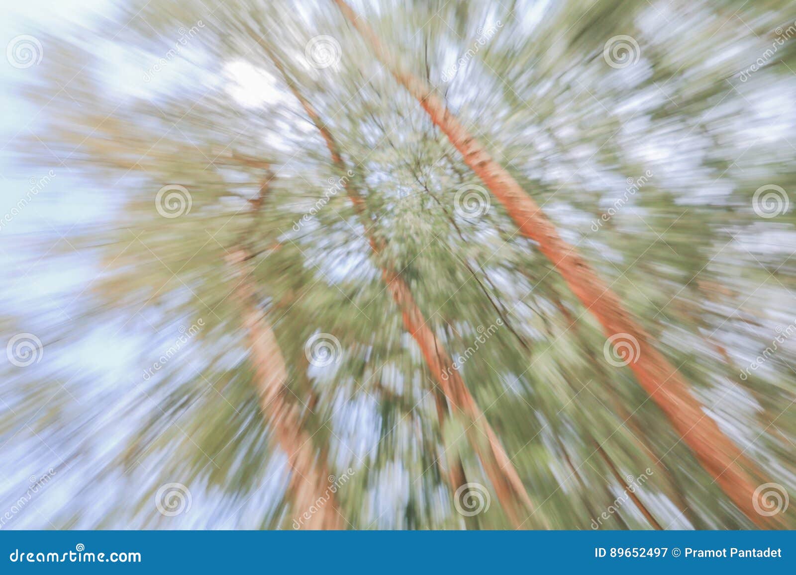 Green of Tree Blurred Background, Speed Lens Zoom Effect Stock Image ...