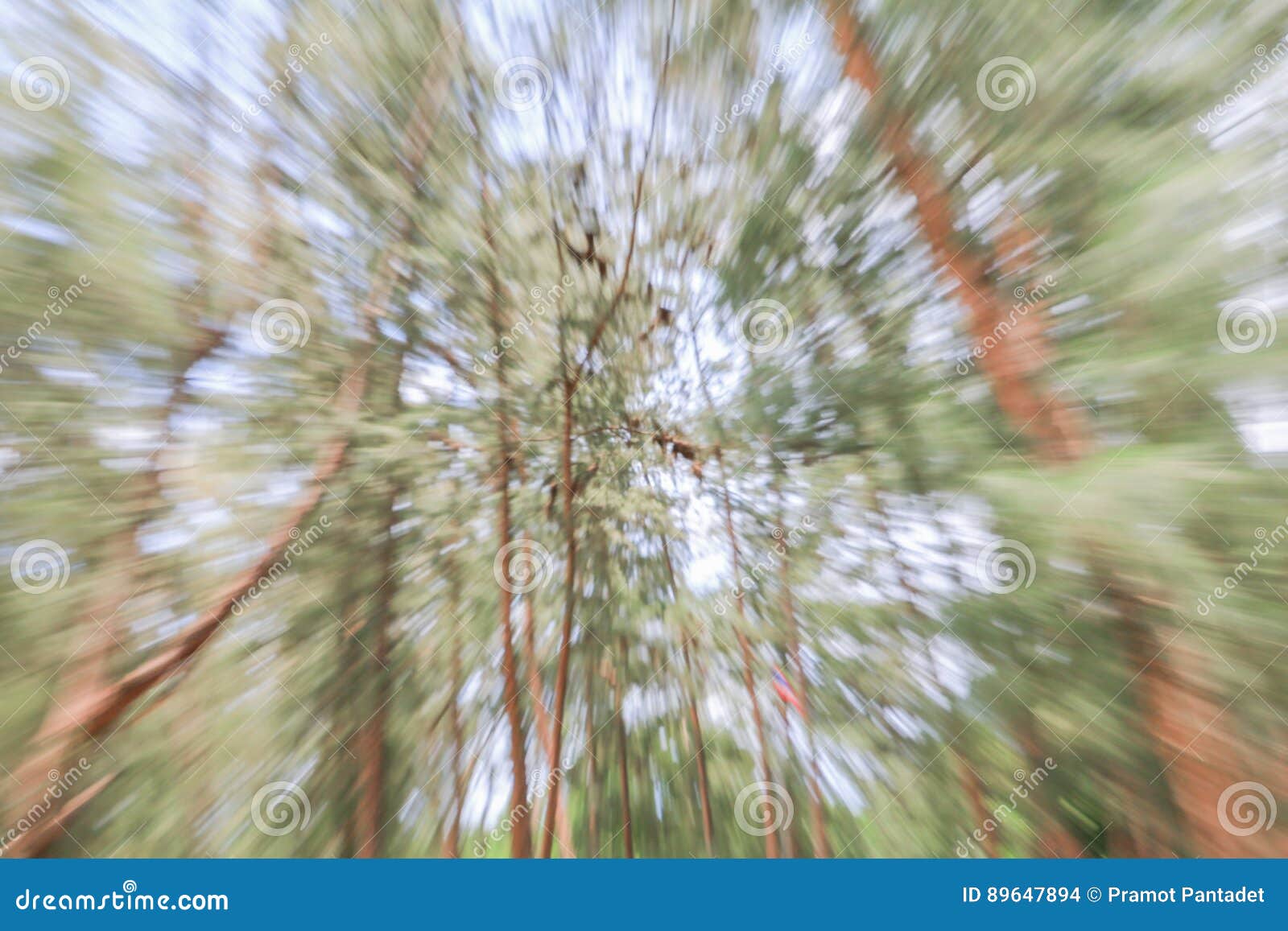 Green of Tree Blurred Background, Speed Zoom Effect Stock Photo - Image ...